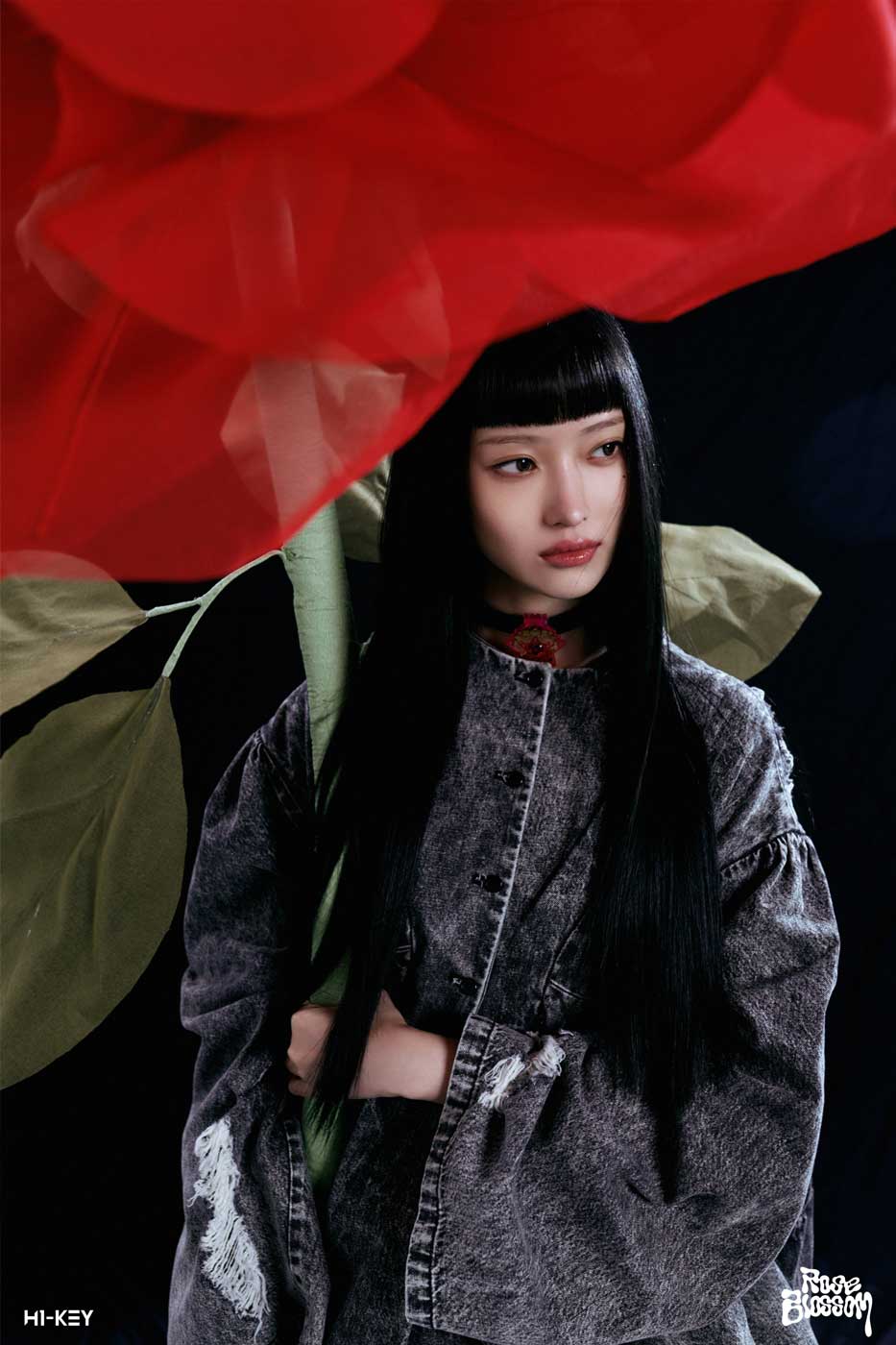 [UPDATE] H1-KEY Members Profile and FAQs