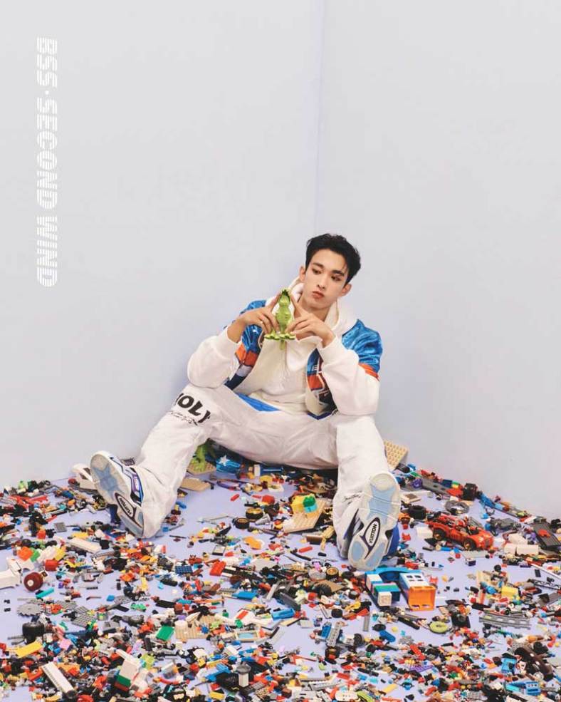 [UPDATE] BSS (SEVENTEEN) Members Profile and FAQ