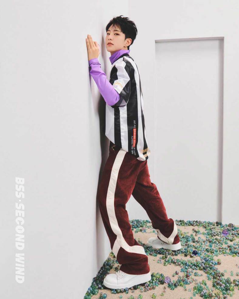 [UPDATE] BSS (SEVENTEEN) Members Profile and FAQ