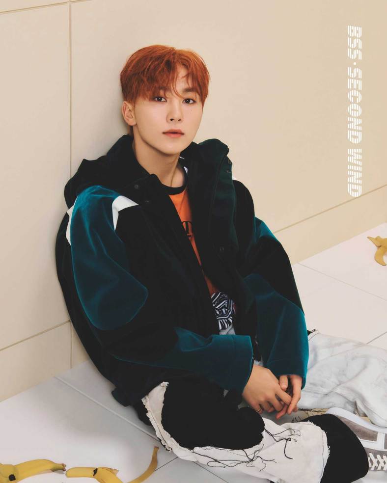 [UPDATE] BSS (SEVENTEEN) Members Profile and FAQ