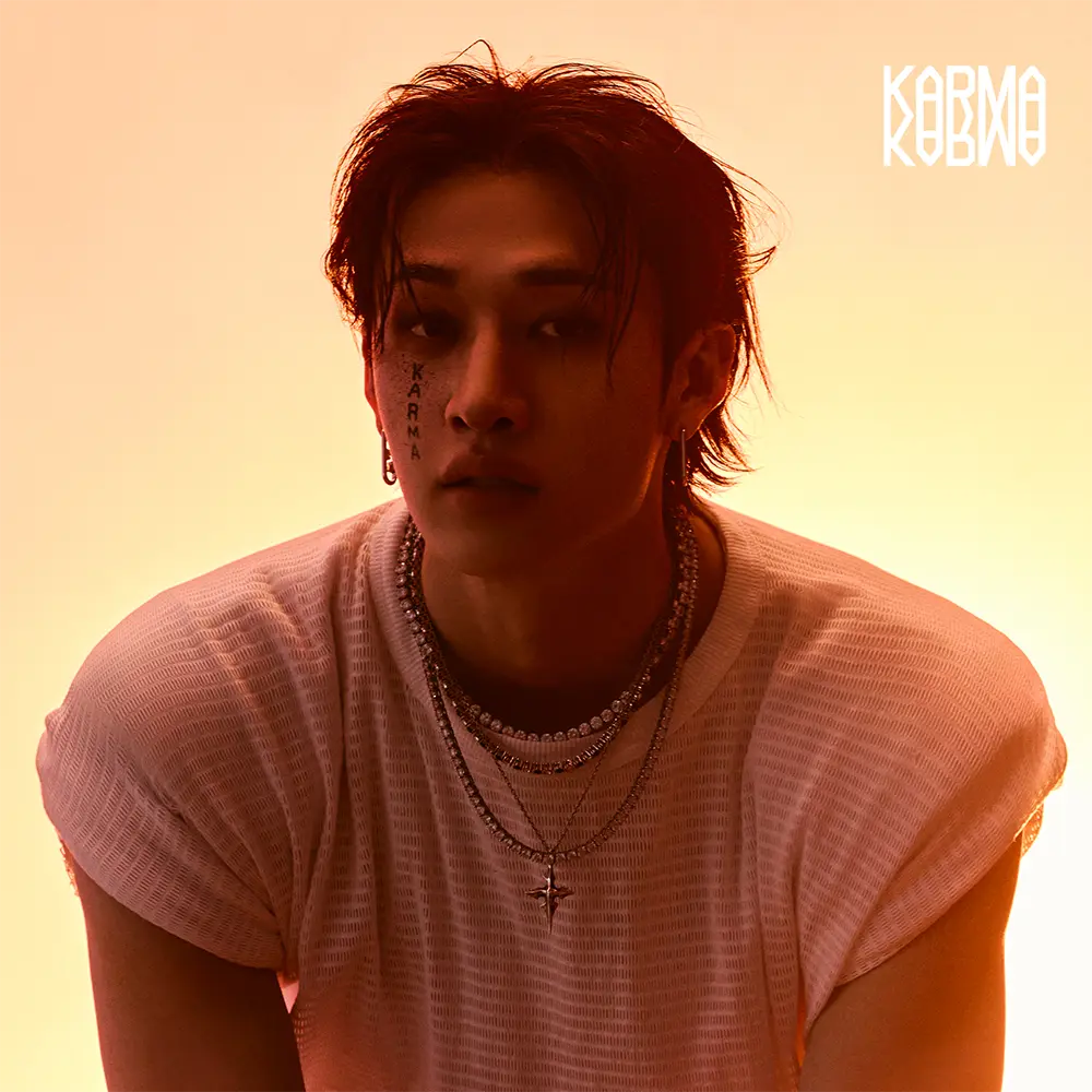 [NEW] Stray Kids Members – Who Is Your Bias?