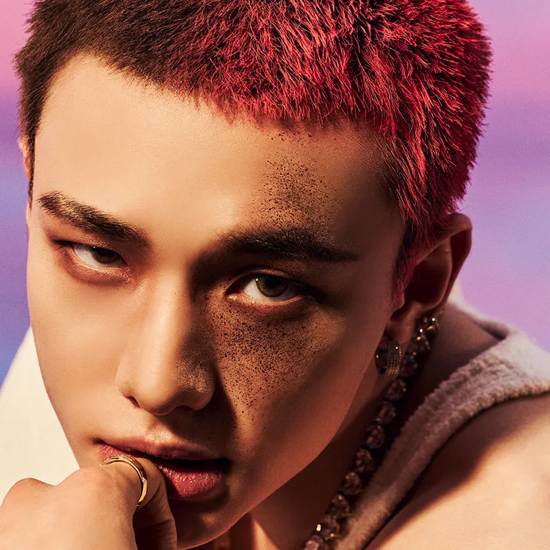 [NEW] Stray Kids Members – Who Is Your Bias?